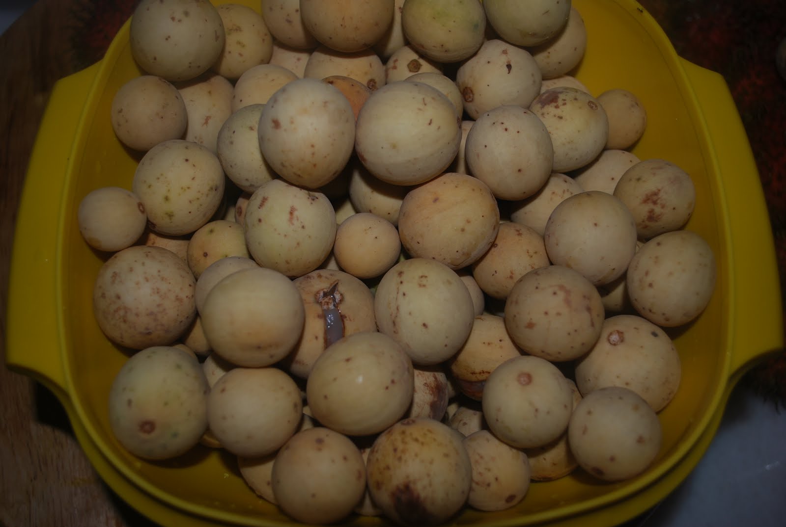 Terengganu's Touristic Appeal: Duku Terengganu: The sweet fruits that ...